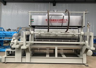 Cina muffa 2.2m*0.47m del cartone dell'uovo di Tray Machine 200kw dell'uovo della carta 7000pcs/H in vendita