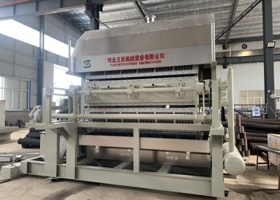 Cina Uovo di alluminio Tray Machine 7500p/H della carta di polpa di WS-7500 1pcs in vendita