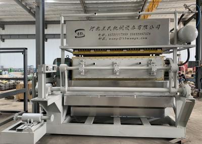 China 6000p/H huevo Tray Manufacturing Machine 380V 3600*2250*2500 milímetro en venta