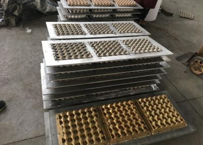 China Bandeja plástica del huevo del corredor frío de los huevos del moldeo a presión 30 de la pulpa de HASCO en venta