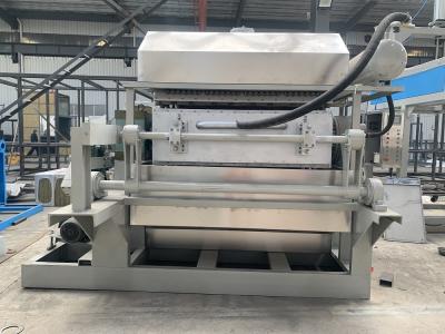中国 フル オートの6-8 Egg Tray Manufacturing Machine 7500pcs/Hr With Metallic Dryer 販売のため