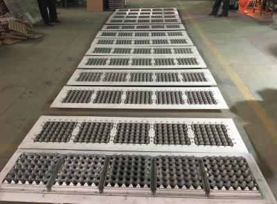 Китай Поддержка производственной линии подноса яйца целлюлозной формы 4000 Pieces/H подгоняла продается