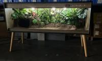 Quality Small Size Wooden Reptile Terrarium Waterproof With Automatic Control for sale