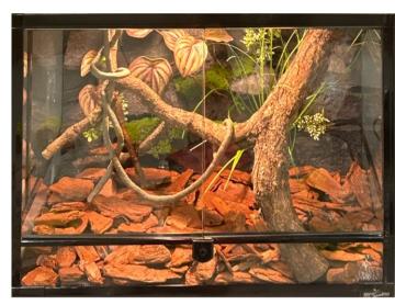 Customized reptile enclosure sample 6