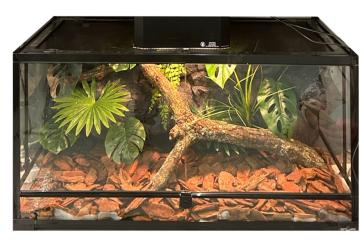 Customized reptile enclosure sample 5