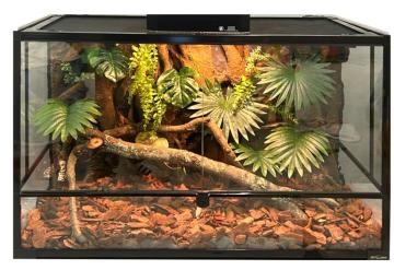 Customized reptile enclosure sample 2