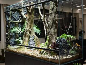 Customized reptile enclosure sample 1
