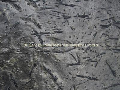 China Otta Quartzite Brushed for sale