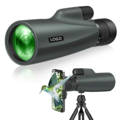 Cina Teleobiettivo portatile per la vista della natura del tetto di Smartphone 10-30x50 BAK4 in vendita