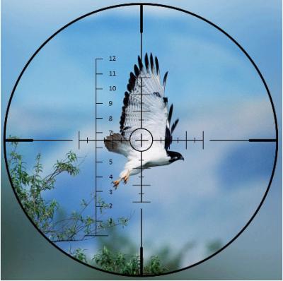 China 10-40x50E Jagend Riflescope IRL met de Zij Optische Beeldzoeker van de Wielparallax Te koop