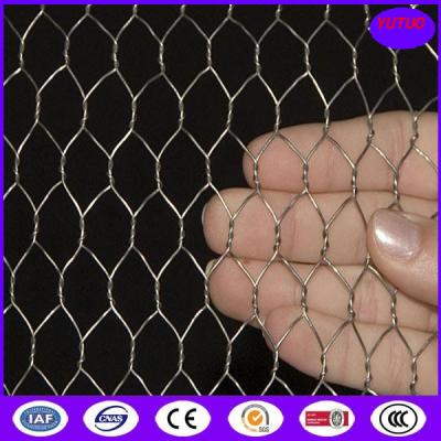 China Hot Dipped Galvanized Chicken Wire Mesh , 50mm 2'' Bird Cage Wire Mesh for sale