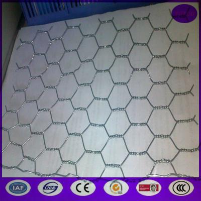 China 20mm x 20 gauge  Galvanized Poultry Netting Fencing / Chicken Houses Runs for sale