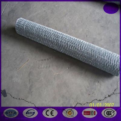 China 20mm x 20 gauge  Galvanized Poultry Netting Fencing / Chicken Houses Runs for sale