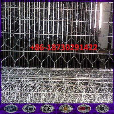 China Road Mesh,Reinforced Hexagonal Wire Netting,Pavement Reinforcement Gab for sale