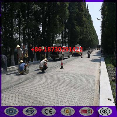 China Road Mesh,Reinforced Hexagonal Wire Netting,Pavement Reinforcement Gab for sale