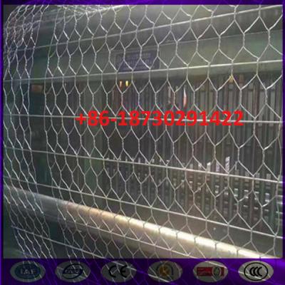 China Road Mesh,Reinforced Hexagonal Wire Netting,Pavement Reinforcement Gab for sale