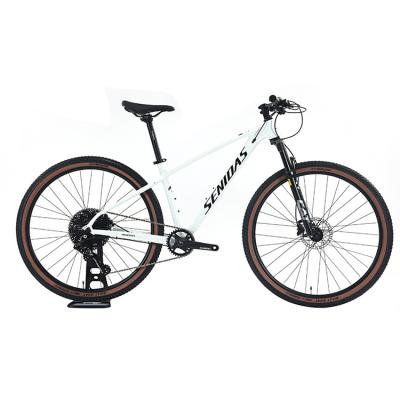 11-52T Γεράσματα Range Downhill Mountain Bike με Shimano Shifter και συνηθισμένο πεντάλ