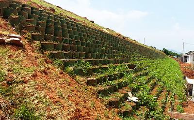 Cina Surface Pea Gravel Stabilizer Grid Geocell Lattice 100% Virgin HDPE in vendita