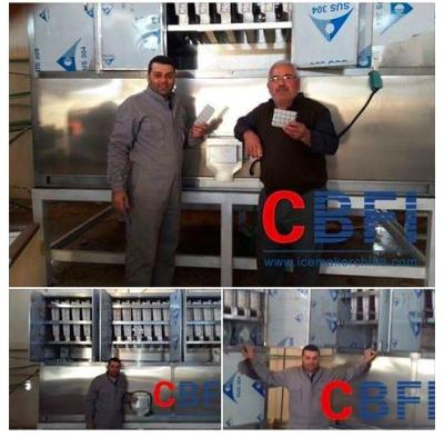 Cina Il cubo del sistema di gas di Freon ha modellato la birra forte e scura delle macchine di fabbricazione di ghiaccio/compressore Copeland/di in vendita