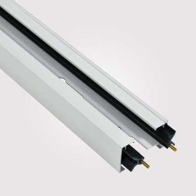 Cina Clothing Store Full Copper 2 Wire Track Rail Aluminum in vendita