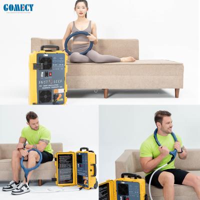 China PMST Loop Mat Pemf Magnetic Pulsed Field Magnetic Therapy Human Pain Relief for sale