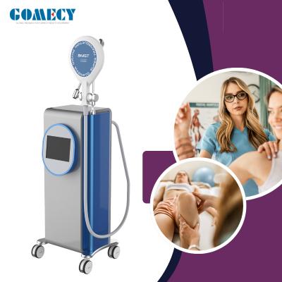 China GMS PMST DUO Max Dual-Channel Pulsed Magneto Therapy with Near Infrared Advanced Dual-Channel PMST Device for Pain Relief & Tissue Repair for sale