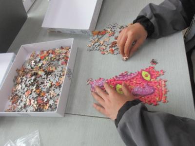 Cina Ispezione finale di controllo di qualità di carta di puzzle, servizi di ispezione dei terzi in vendita