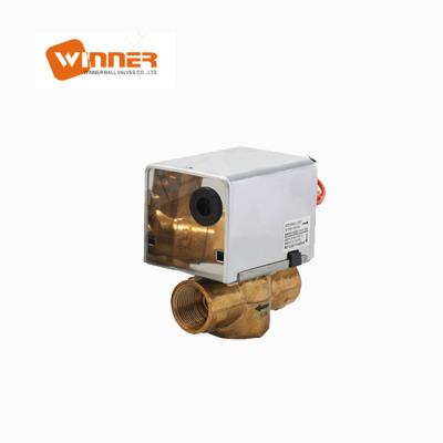 中国 配水管を熱するHVACシステムのためのばねと自動2つの方法DN20ばねのリターン弁 販売のため