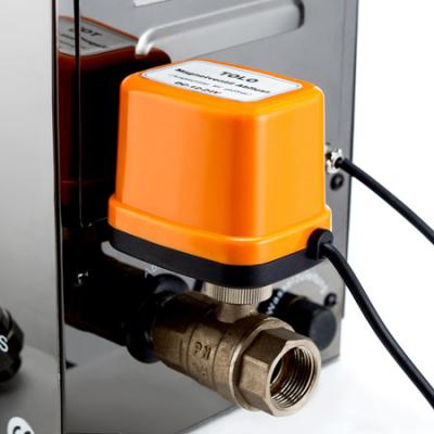 Cina Generatore domestico 400V 24kw del bagno a vapore con 2 diffusori del vapore in vendita