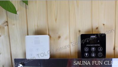 Cina Generatore di vapore professionale di sauna per bagno turco, generatore di vapore di recupero di calore 12.0kw 400v con il riscaldamento sequenziale in vendita