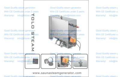 Cina Saune dell'interno 6.0kw 220V del vapore della casa del generatore di vapore di sauna della stanza del bagno in vendita