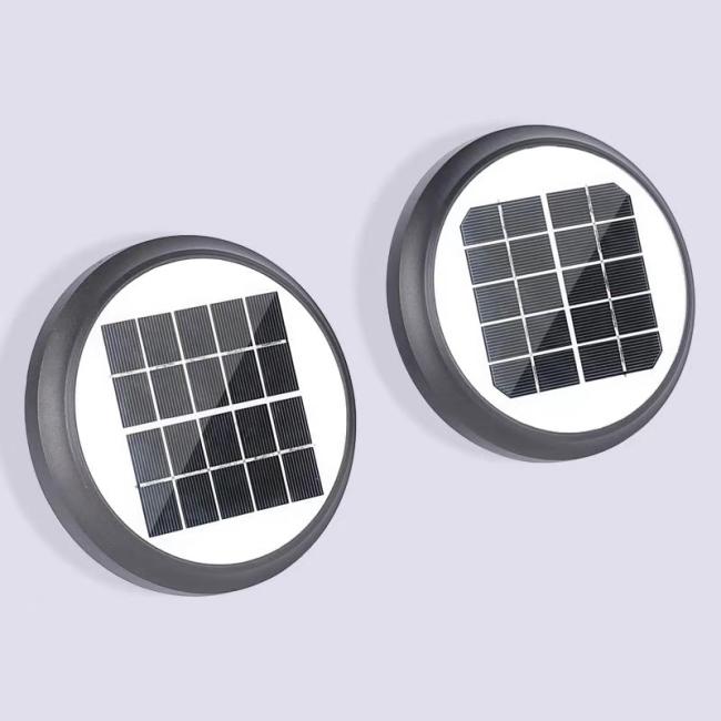 Solar Powered Decoration Outdoor Lighting Waterproof LED Solar Garden Light