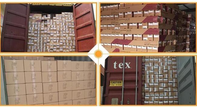 500W Home Solar Power System Output 473wh Solar System with 4 Solar Power System Bulbs 110V/220V Output