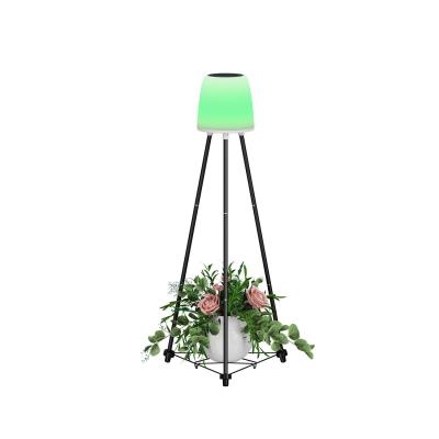 Cina 0.2W Luci solari per la decorazione di Natale 0.3kg Scatola interna Dimensione 22*20*40.5CM G.W 1.9KG in vendita