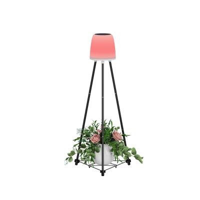 Cina 1.2V 40PCS Lampada da giardino decorativa solare 2835 LED 45.7*20.3*107.3cm in vendita
