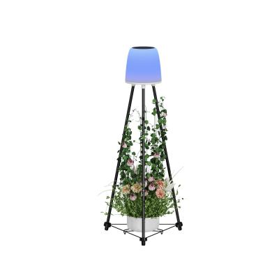 Cina ABS/Iron LED luce solare per decorazioni esterne 22*20*40.5 CM Box interna 1.9KG G.W. in vendita