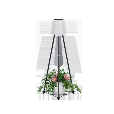 Cina Lampade solari decorative monocristalline al silicio 30lm 5v/1.2w per la decorazione del giardino in vendita