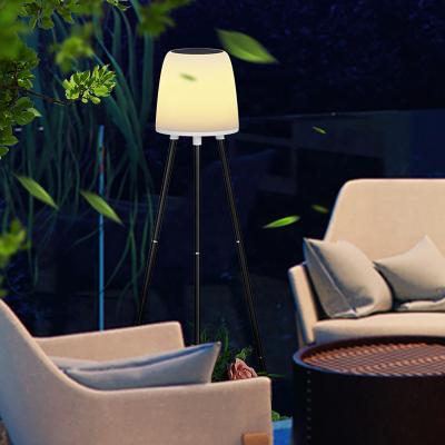 Cina 4PCS/CTN Lampade da paesaggio decorative a energia solare 27Pcs Luci esterne a LED in vendita