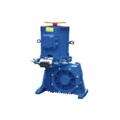 Cina Azionamento per scale mobili con potenza 8~15kw Installazione scale mobili Sicurezza in vendita