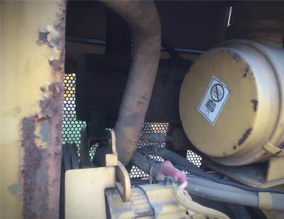 Chine Bouteur utilisé de Caterpillar D5m en bonne condition de travail avec le prix étonnant. Chat d'occasion D3c, D3g, D4c, bouteur de D5g en vente plus une garantie d'an. à vendre
