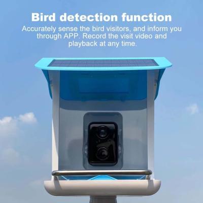中国 屋外のスマートな鳥の送り装置のカメラ方形は太陽電池パネルと形づく 販売のため
