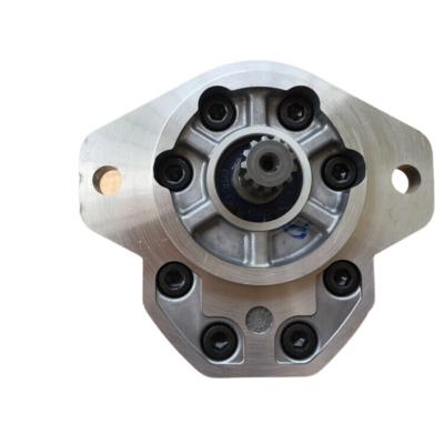 Cina Danfoss 211.25.124.0C SNV3NN 022RN07SL NNA3A2NNNN NNNNN Pompa a ingranaggi Nuova in vendita