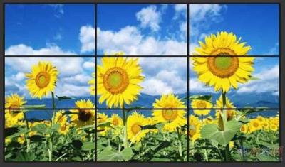 Cina Esposizione di parete LCD completa di HD video a 42 pollici con il pannello LCD di Samsung per la mostra in vendita