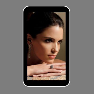 Cina Esposizioni LCD 1209mm x 680mm di USB del supporto a 55 pollici della parete per i cinema in vendita