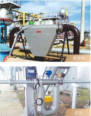 Cina Fare un misuratore di flusso senza errore di Coriolis Perfetta combinazione di precisione ed efficienza in vendita