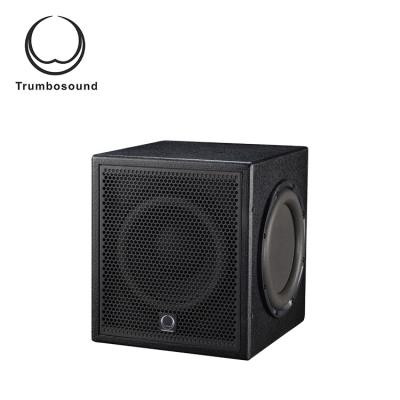 Cina Active subwoofer box 10