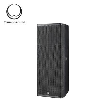 Cina Dual 15 inch outdoor speaker full range stage speaker 2-way 15 inch speaker with two 15 inch TR215 in vendita