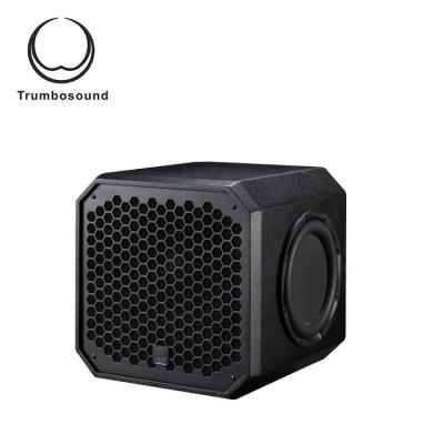 Cina Top quality loudspeaker 12 inch active bass home theater speaker indoor subwoofer speaker TR12BA in vendita