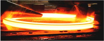 Chine Les pièces forgéees chaudes ont forgé le matériel 1,4923, X22CrMoV12.1, 1,4835, 1,6981, ASTM F22, LF6 de produits en acier à vendre