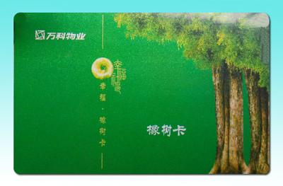 China S50+TK4100 chip Composite Card / S50+EM4102 chip Dual frequency Card en venta